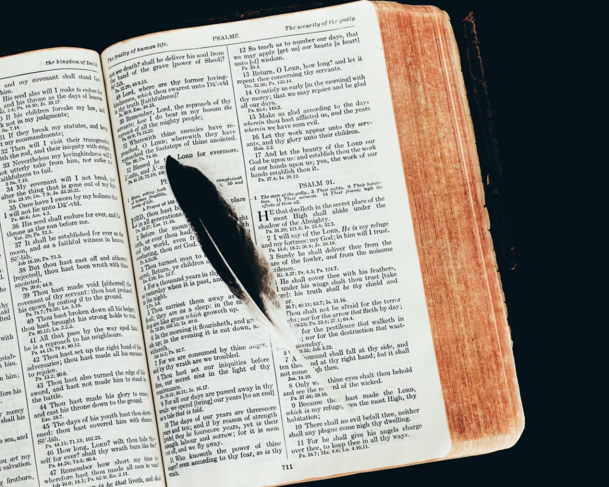 A NEW TRANSLATION - Bible in brief